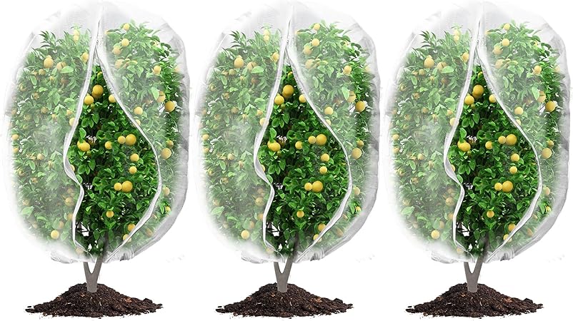 Amazon.com : 3Pcs Plant Covers from Insects, Bird Netting Barrier for ...