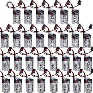 Amazon.com: HZH (30Pack) JZSP-BA01 ER3V 3.6V 1000mah Non-Rechargeable ...