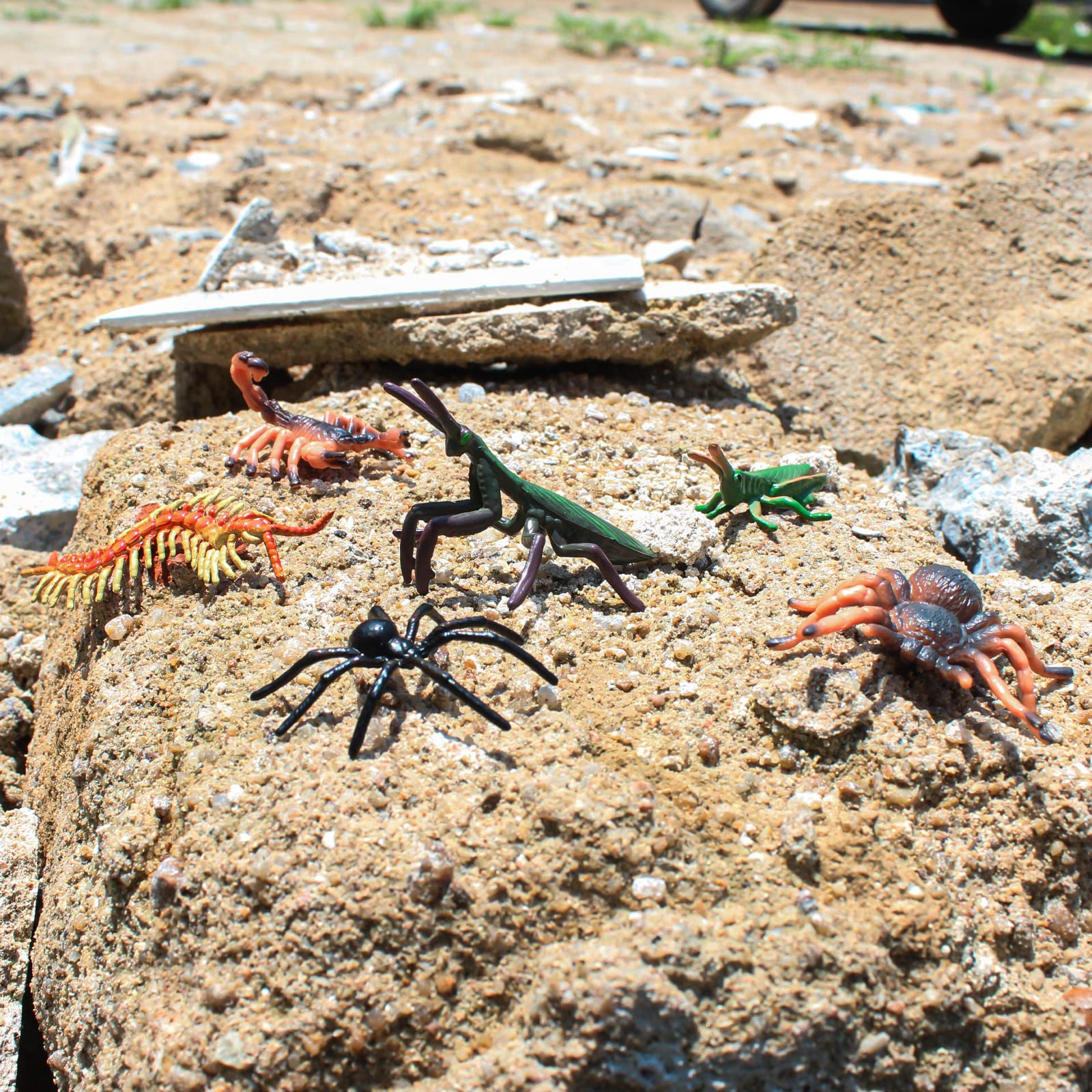 Snapklik.com : WONWONTOYS Insects Figures Toys - Figurines Set