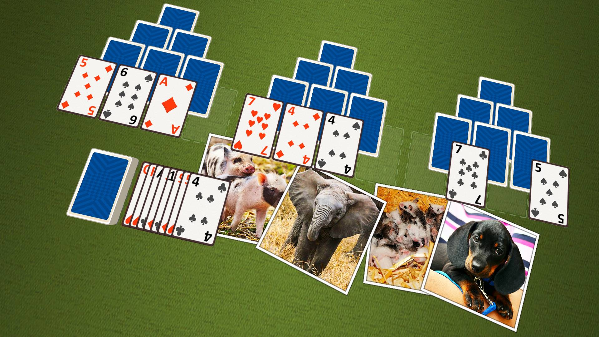 TriPeaks Baby Animals TV - App on Amazon Appstore