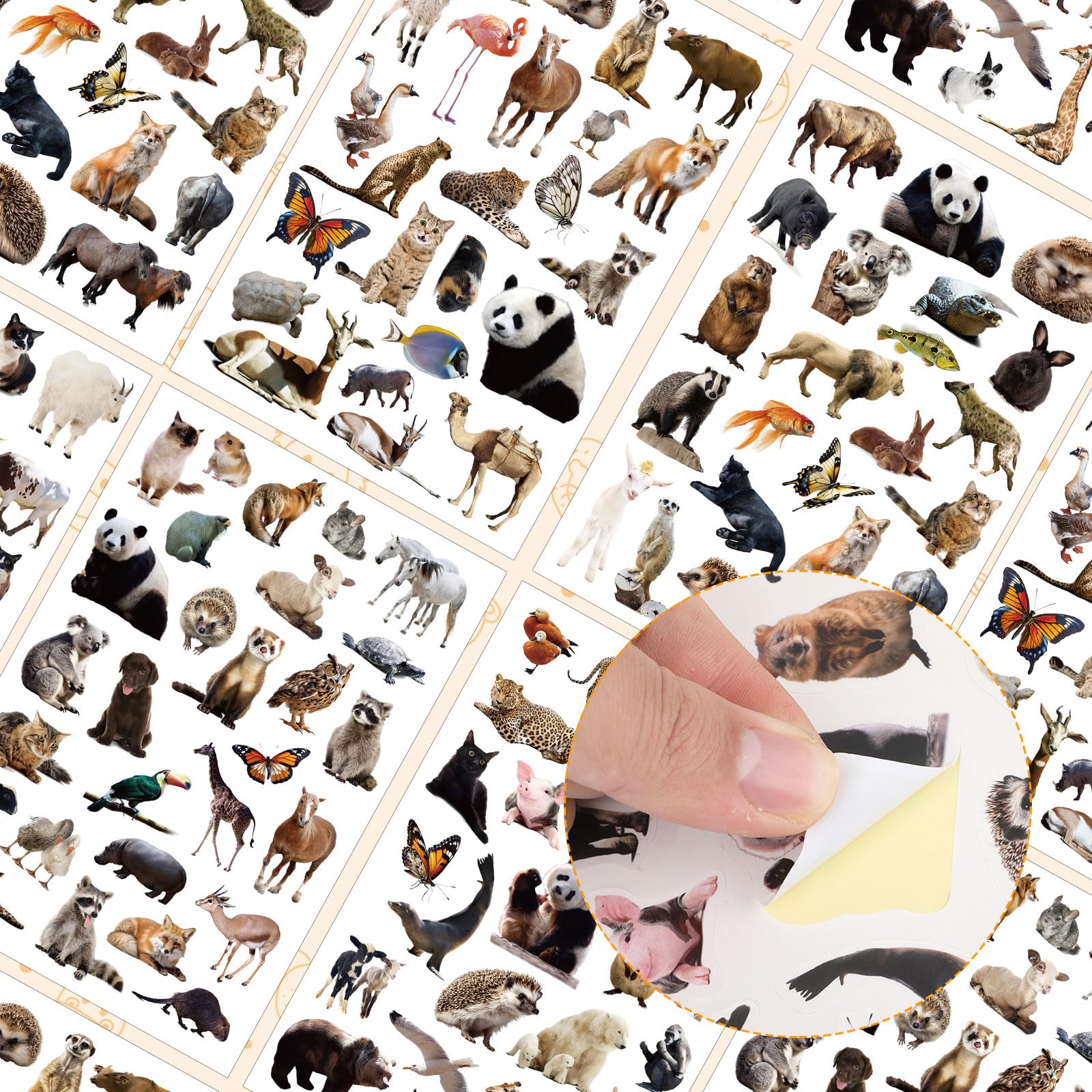 Wildlife Decals And Stickers