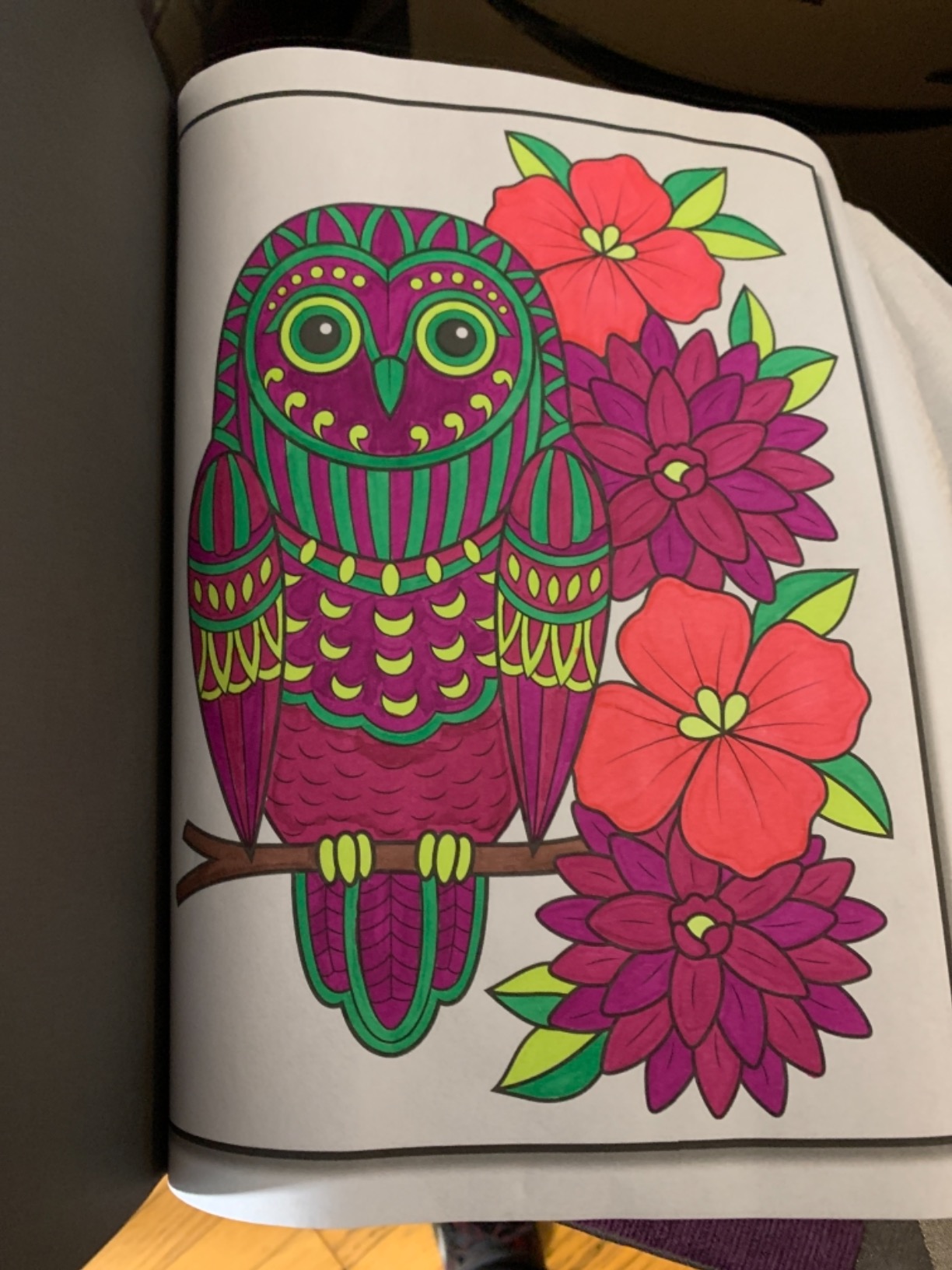 Adorable Owls: An Adult Coloring Book with Cute Owl Portraits, Fun Owl ...