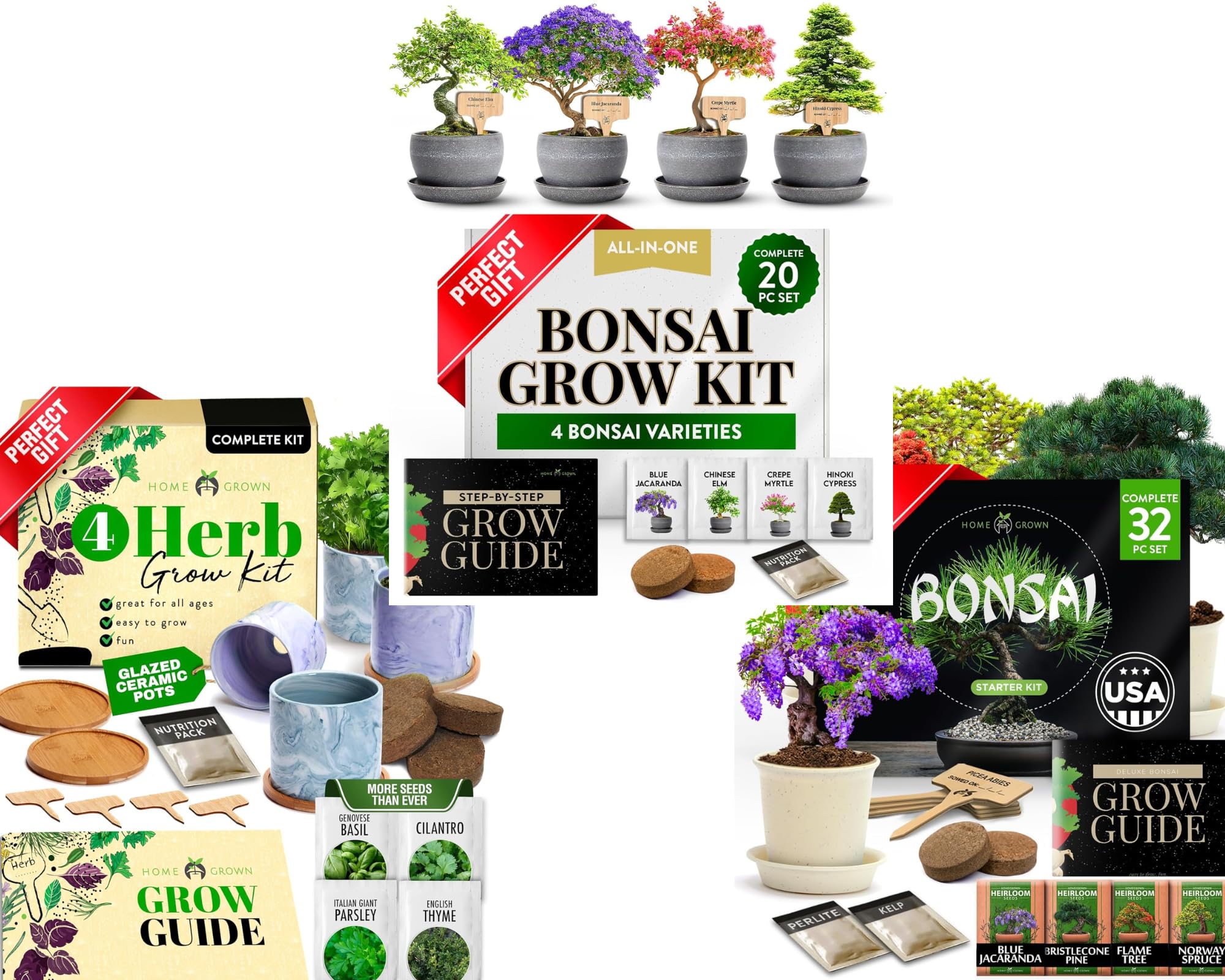 Amazon.com : HOME GROWN Gardening Gift Set – Bonsai Tree Kit & Bonsai ...