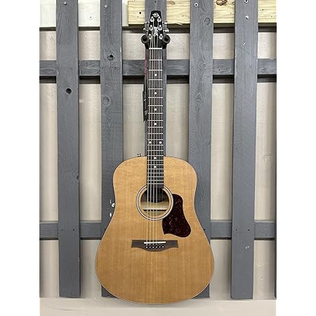 Amazon.com: Seagull 12 String Acoustic Guitar, Right, Sunburst, Full ...