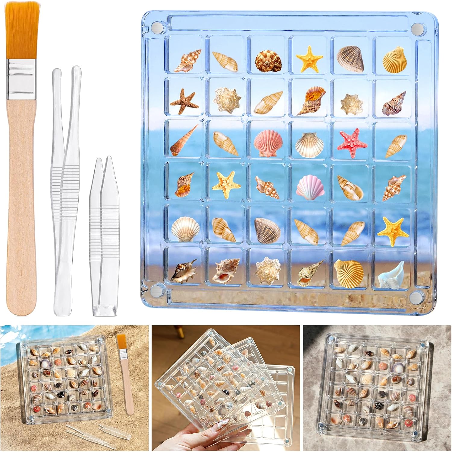 Amazon.com: Seashell Display Box – 36 Grid Clear Acrylic Shell Holder ...