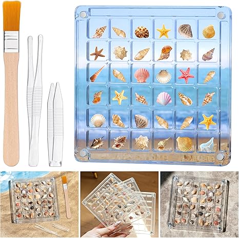 Amazon.com: Seashell Display Box – 36 Grid Clear Acrylic Shell Holder ...