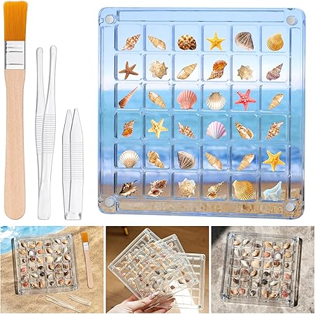 Amazon.com: Seashell Display Box – 36 Grid Clear Acrylic Shell Holder ...