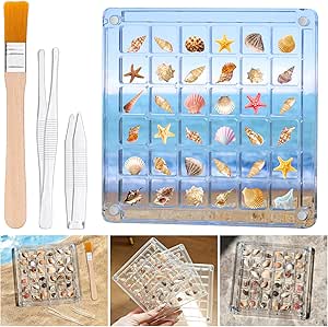 Amazon.com: Seashell Display Box – 36 Grid Clear Acrylic Shell Holder & Organizer Case with ...