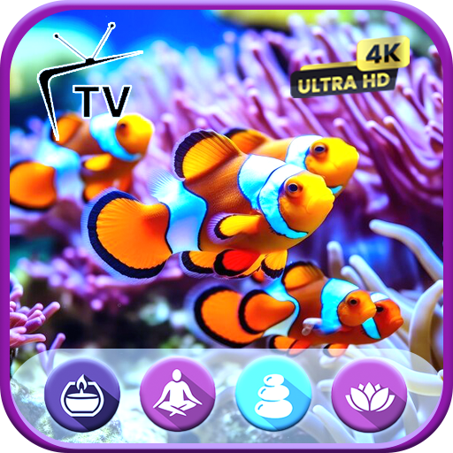 Underwater Oasis: Tranquil Aquarium Coral Fish Screensaver On Fire ...