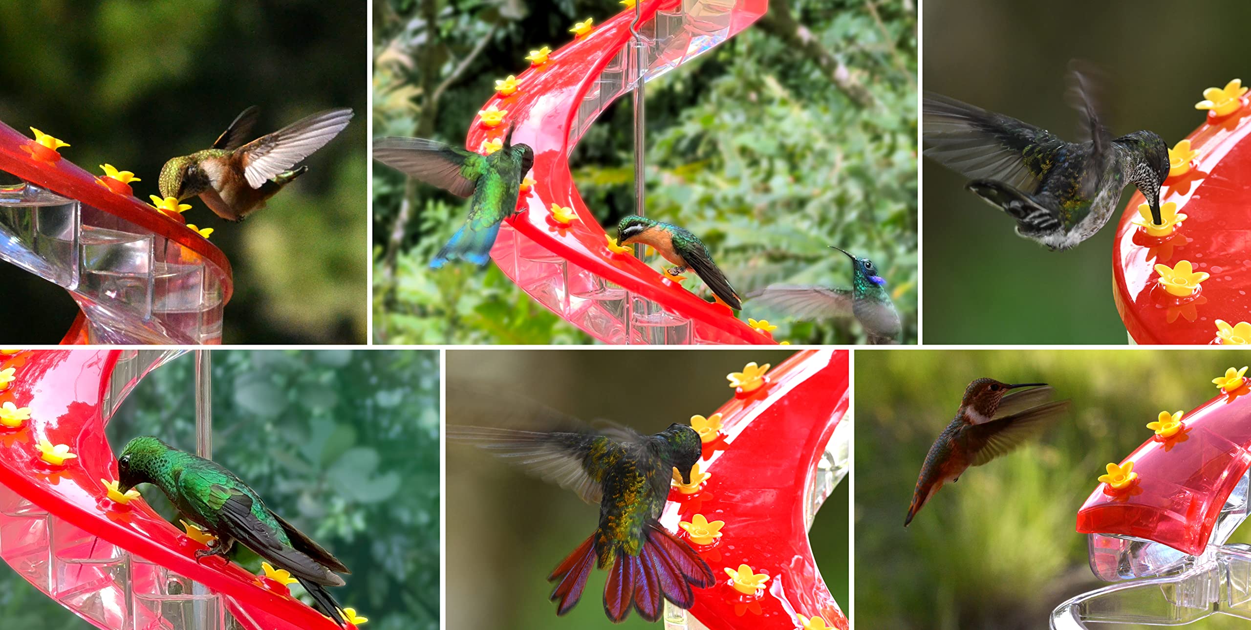 Cascade® Helix™ 16-Port Hummingbird Feeder, Helical Design Provides ...