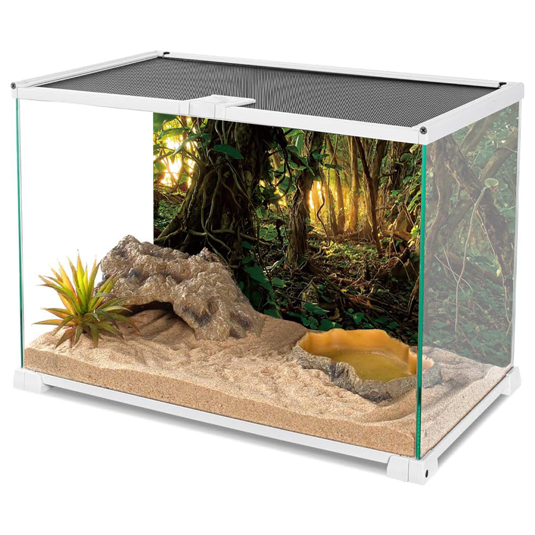 Snapklik.com : Reptile Terrarium Background 48x24 Inch Reptile Tank ...