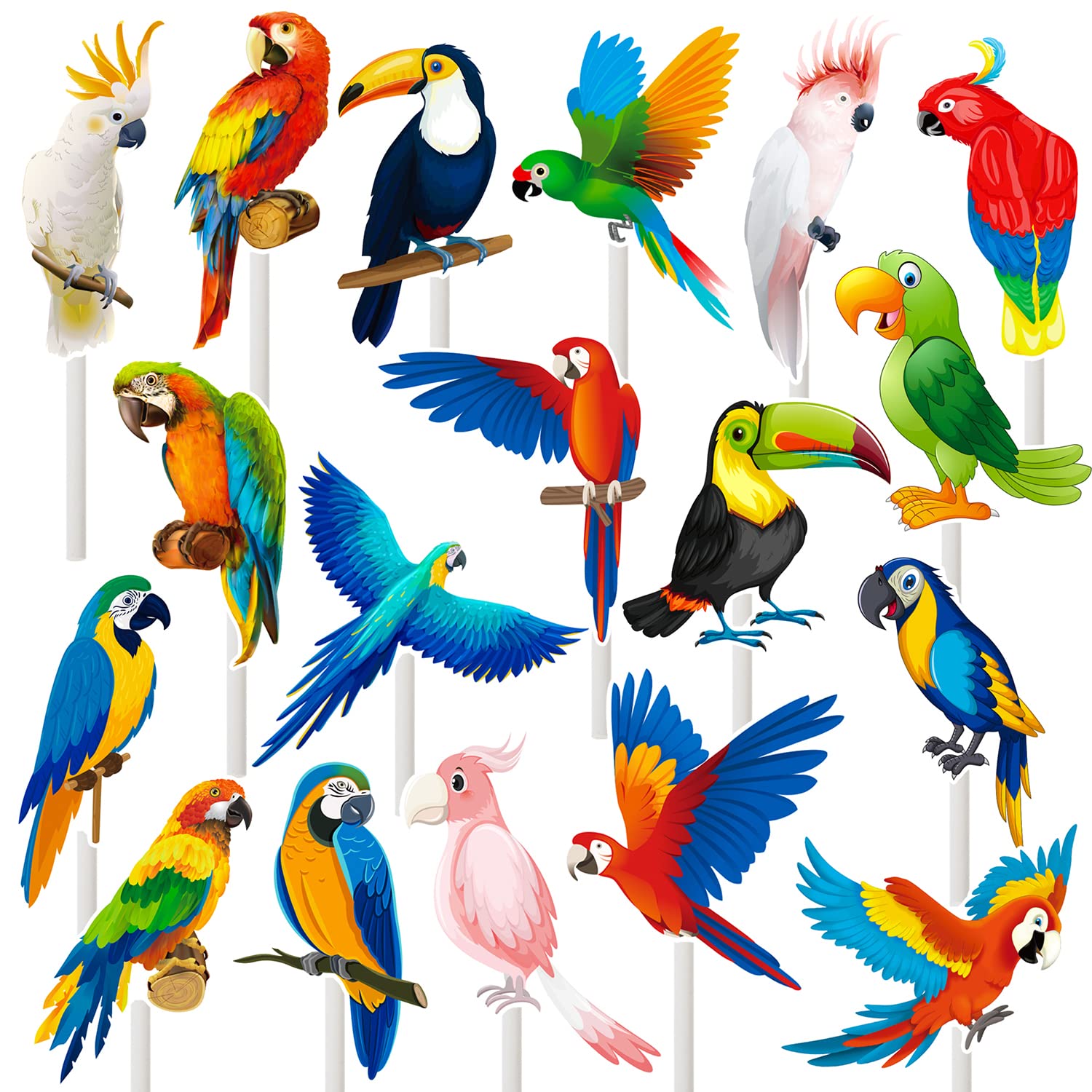 Amazon.com: 36pcs Parrot Cupcake Toppers Tropical Bird Party Cake ...