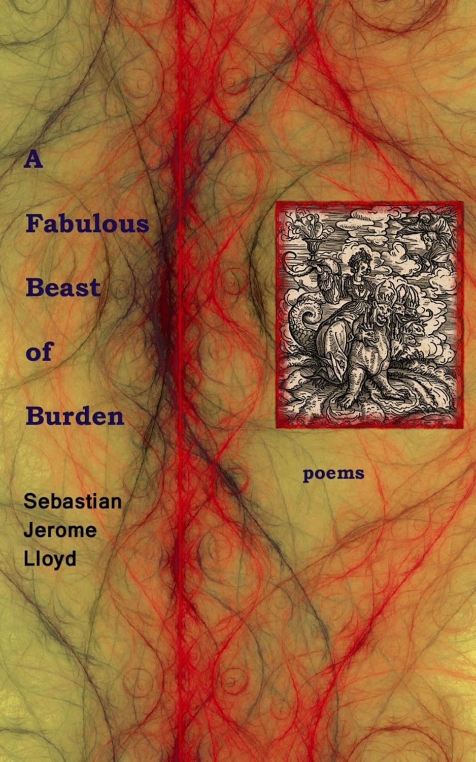 A Fabulous Beast of Burden - Kindle edition by Lloyd, Sebastian ...