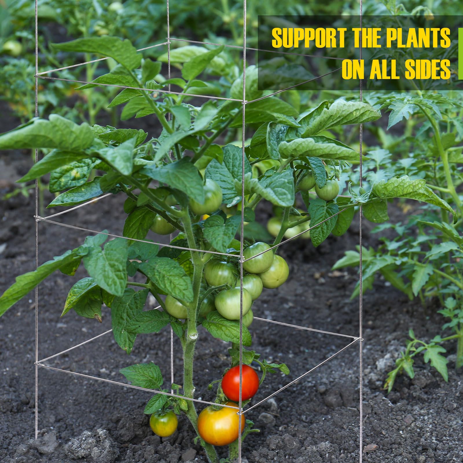 Snapklik.com : 6 Pack Square Folding Tomato Cage 39 X 18 Inches Tomato ...