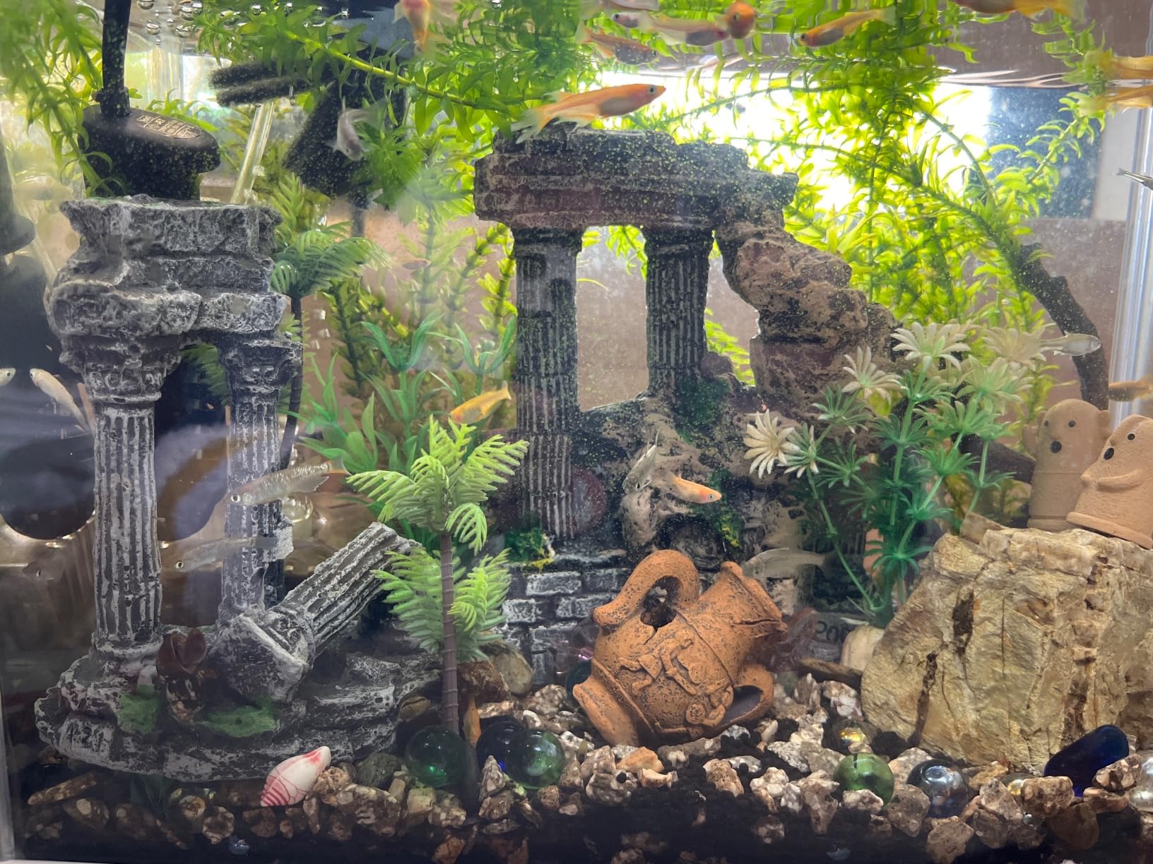 Amazon | ジェックス GEX メダカ元気 メダカ水景 メダカの天然ろ過ソイル 1L | GEX | 底床 通販