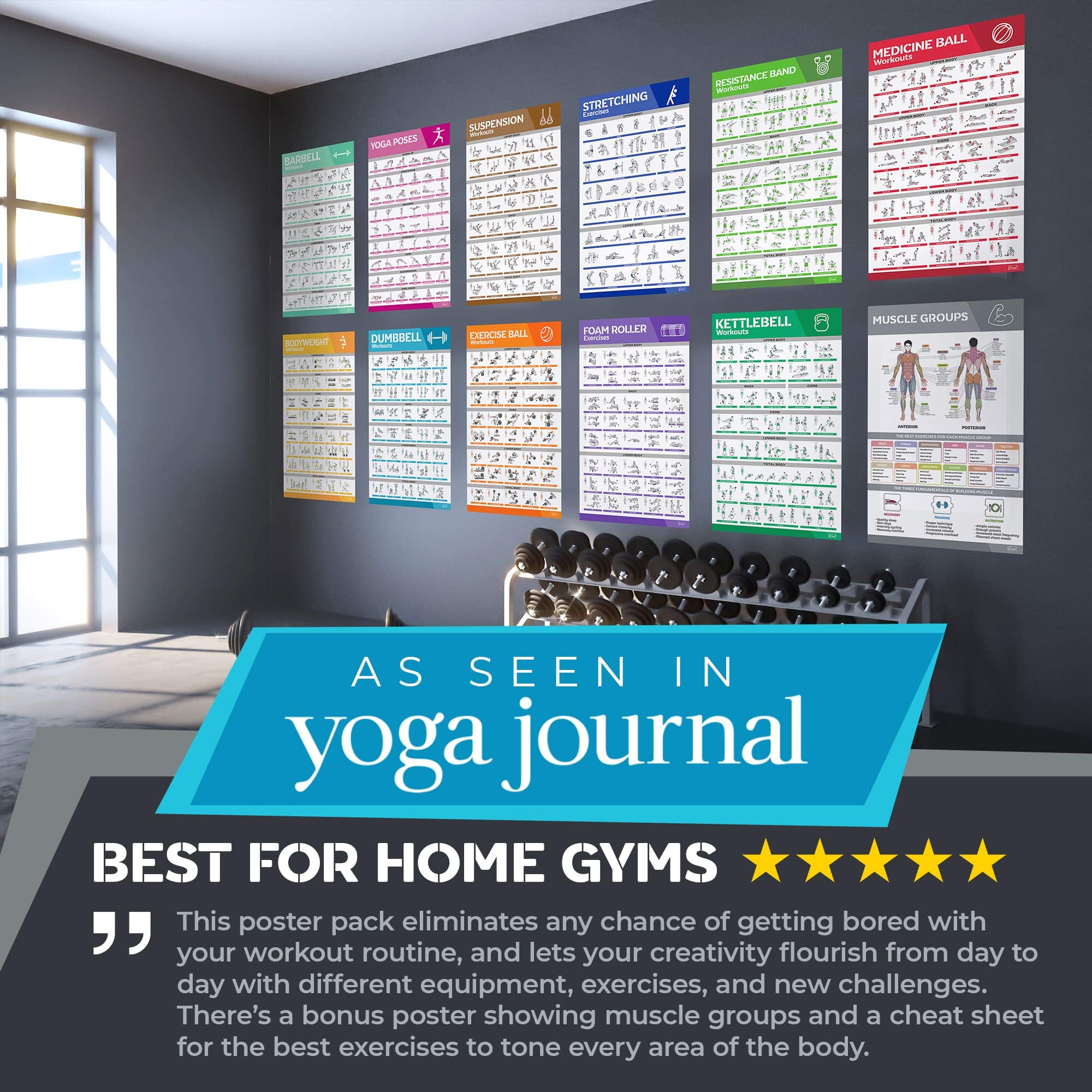 Buy 12-Pack Laminated Large Workout Poster Set - Perfect Workout ...