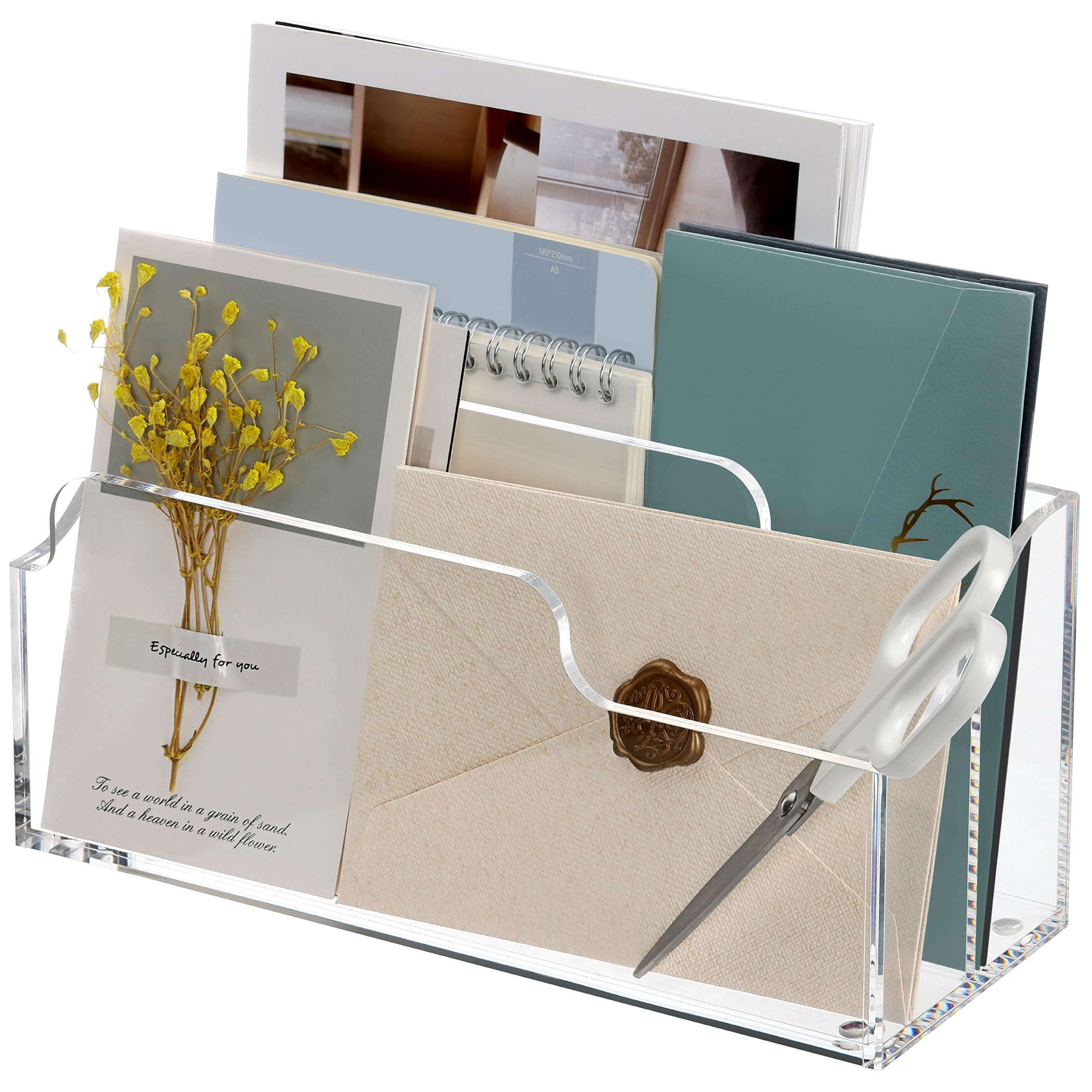 Amazon.com : SANRUI Mail Organizer Countertop, Acrylic Mail Holder with ...