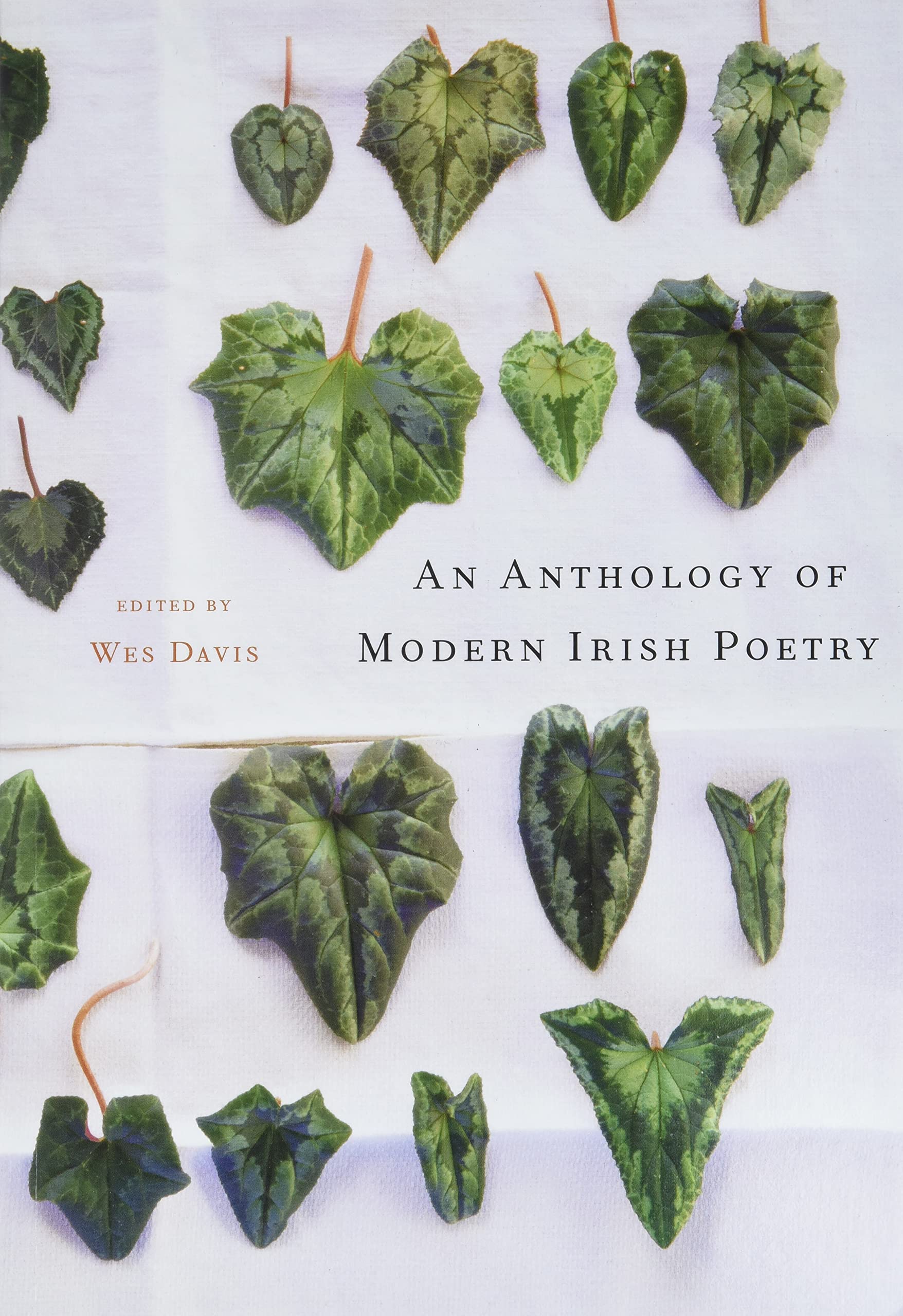 An Anthology of Modern Irish Poetry: Davis, Wes: 9780674072220: Amazon ...