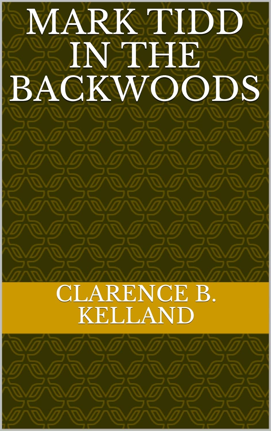 Mark Tidd in the Backwoods - Kindle edition by Kelland, Clarence B ...