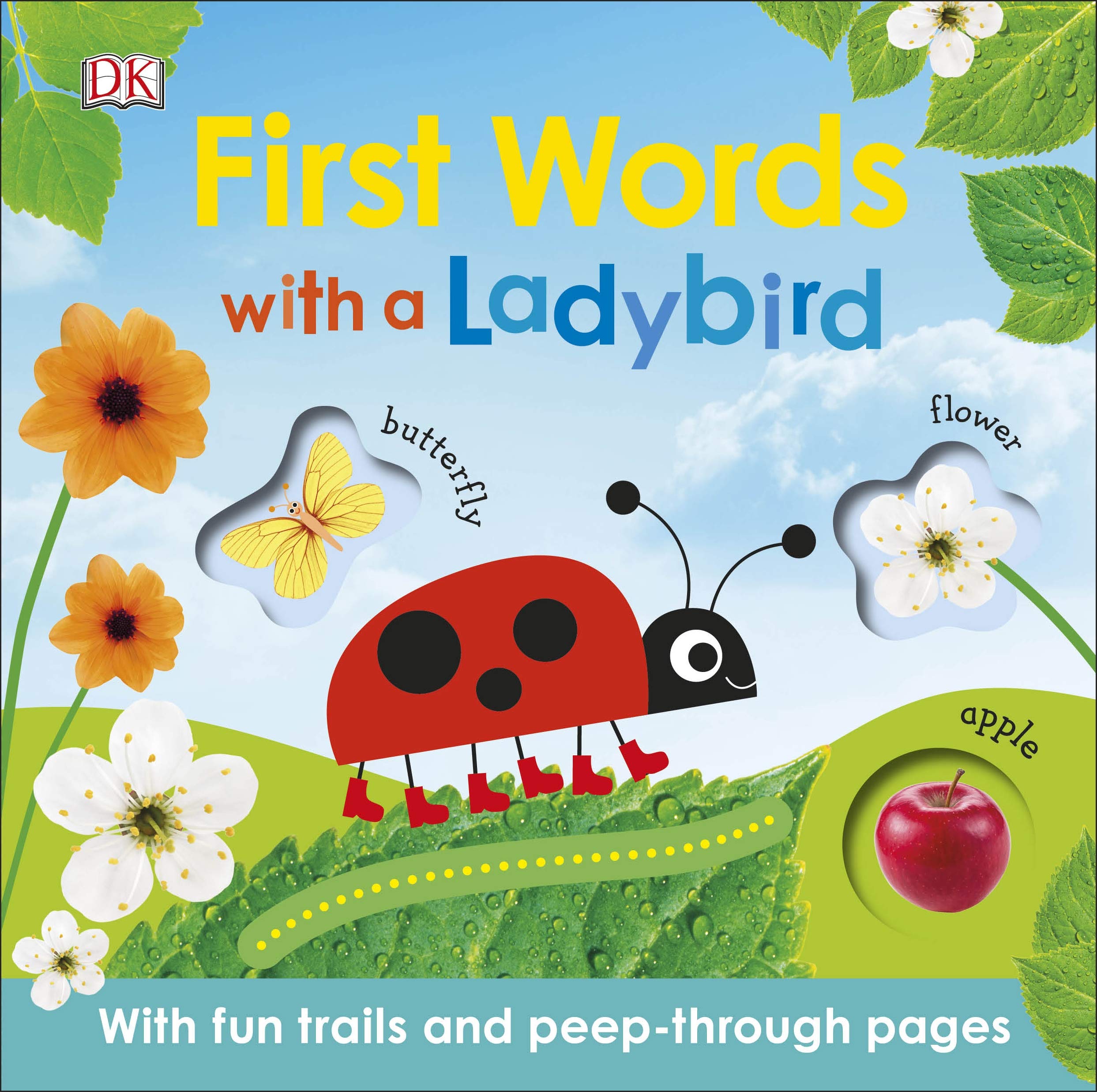 First Words with a Ladybird (Learn with a Ladybird) : DK: Amazon.co.uk ...