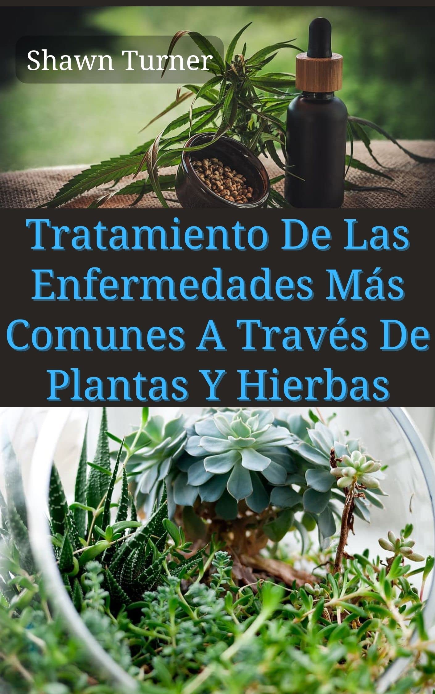 Buy Tratamiento De Las Enfermedades Más Comunes A Través De as Y ...
