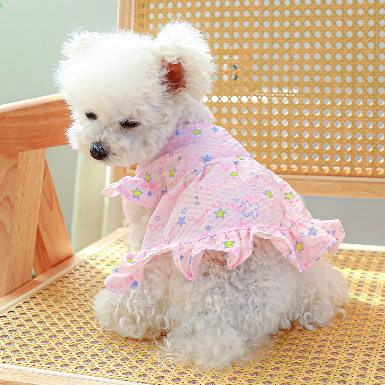 Dog Princesses NEW Princess Dog Coat Jacket – Isle For Dogs Boutique