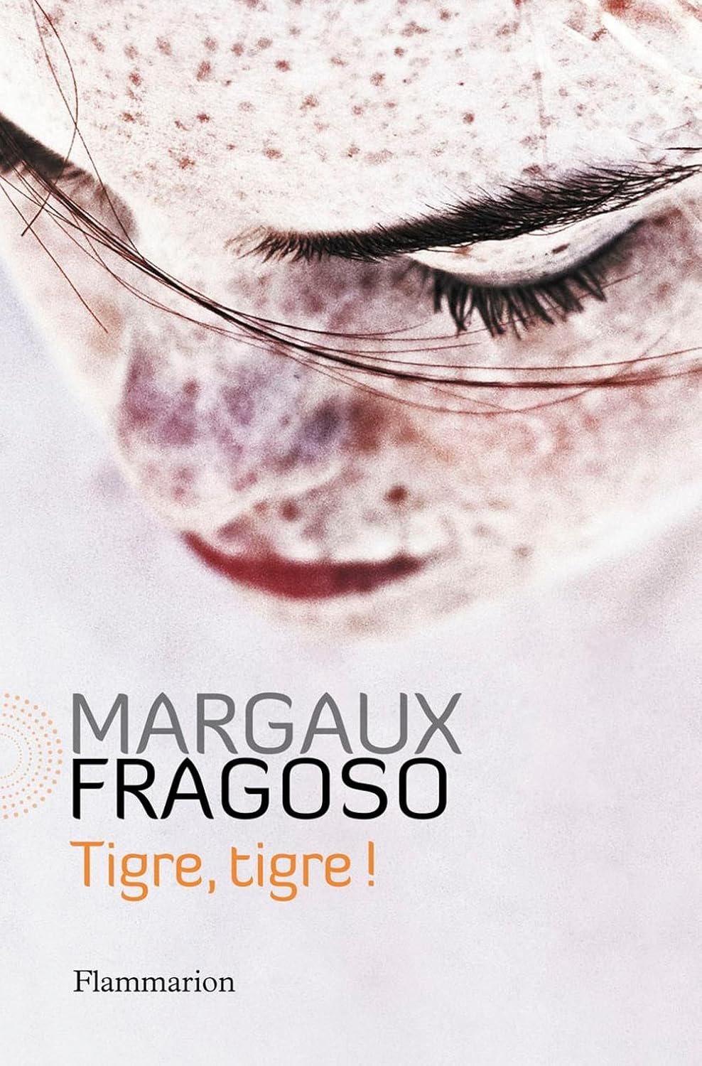 Tigre, tigre ! eBook : Fragoso, Margaux, Darrieussecq, Marie: Amazon.fr ...