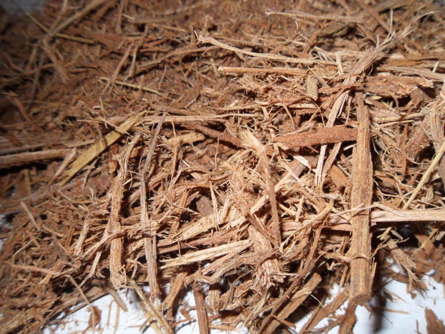 Buy Generic 100% Pure Banisteriopsis caapi POWDER RAINBOW ALL 4 COLORS ...