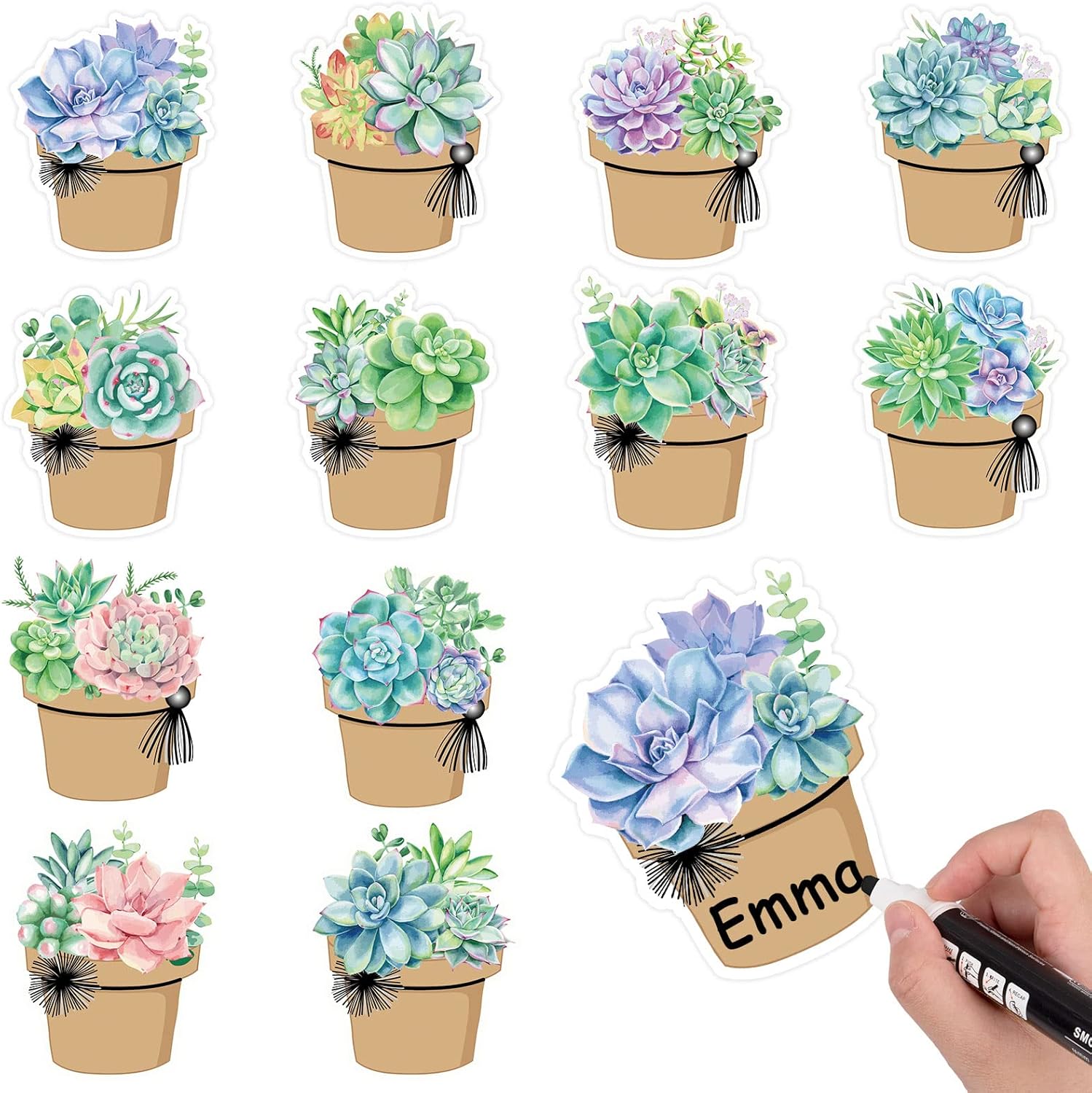 Amazon.com: Whaline 120Pcs Back to School Succulent Name Tags 12 ...