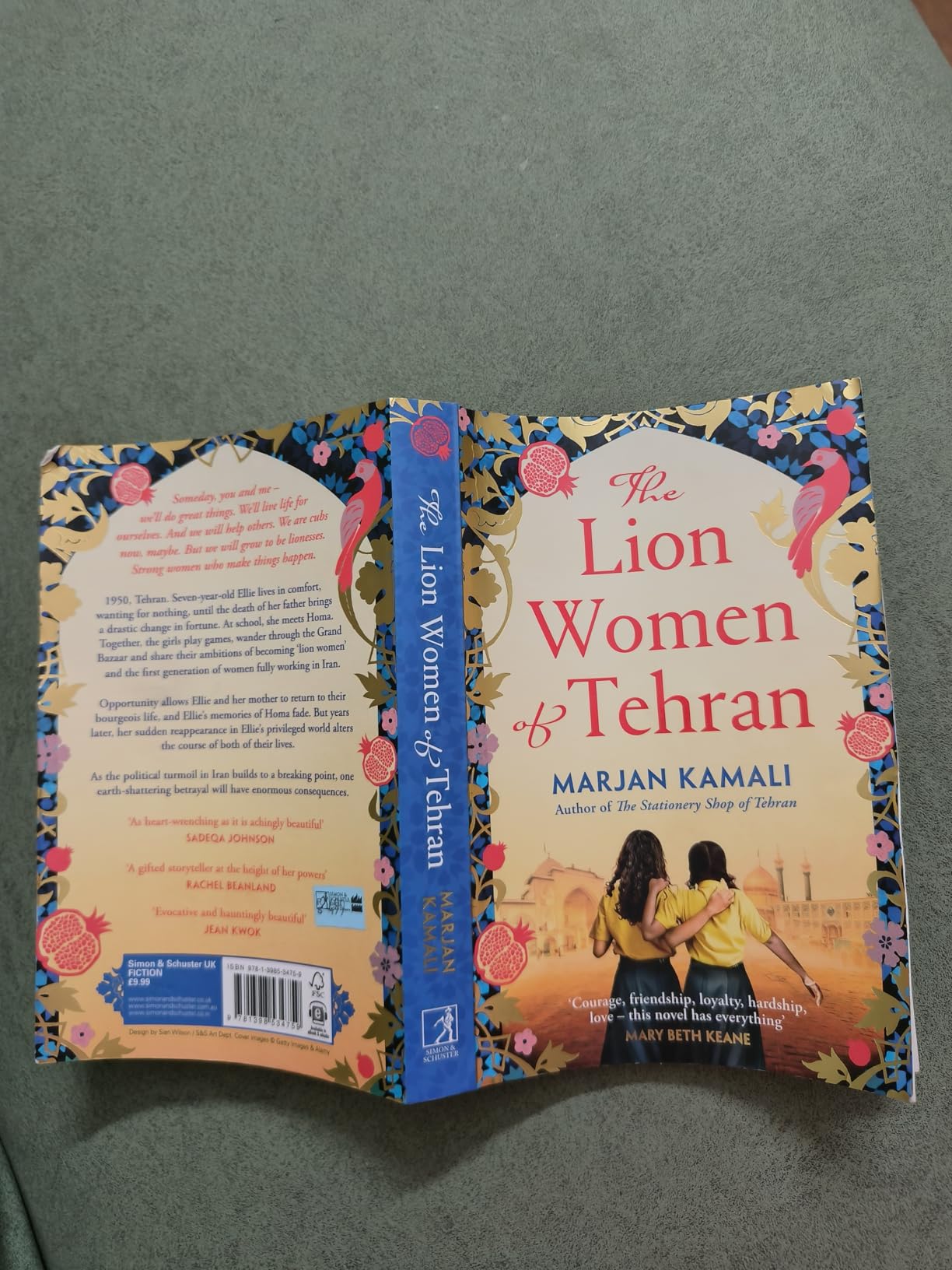 LION WOMEN OF TEHRAN