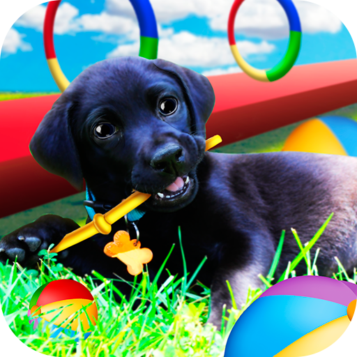 Paw Pup Dog Training - App on Amazon Appstore