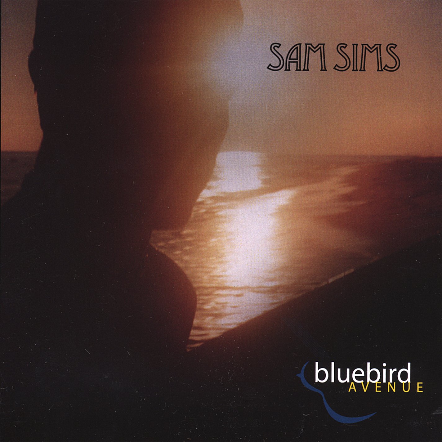 Sam Sims, Sam Sims - Bluebird Avenue - Amazon.com Music