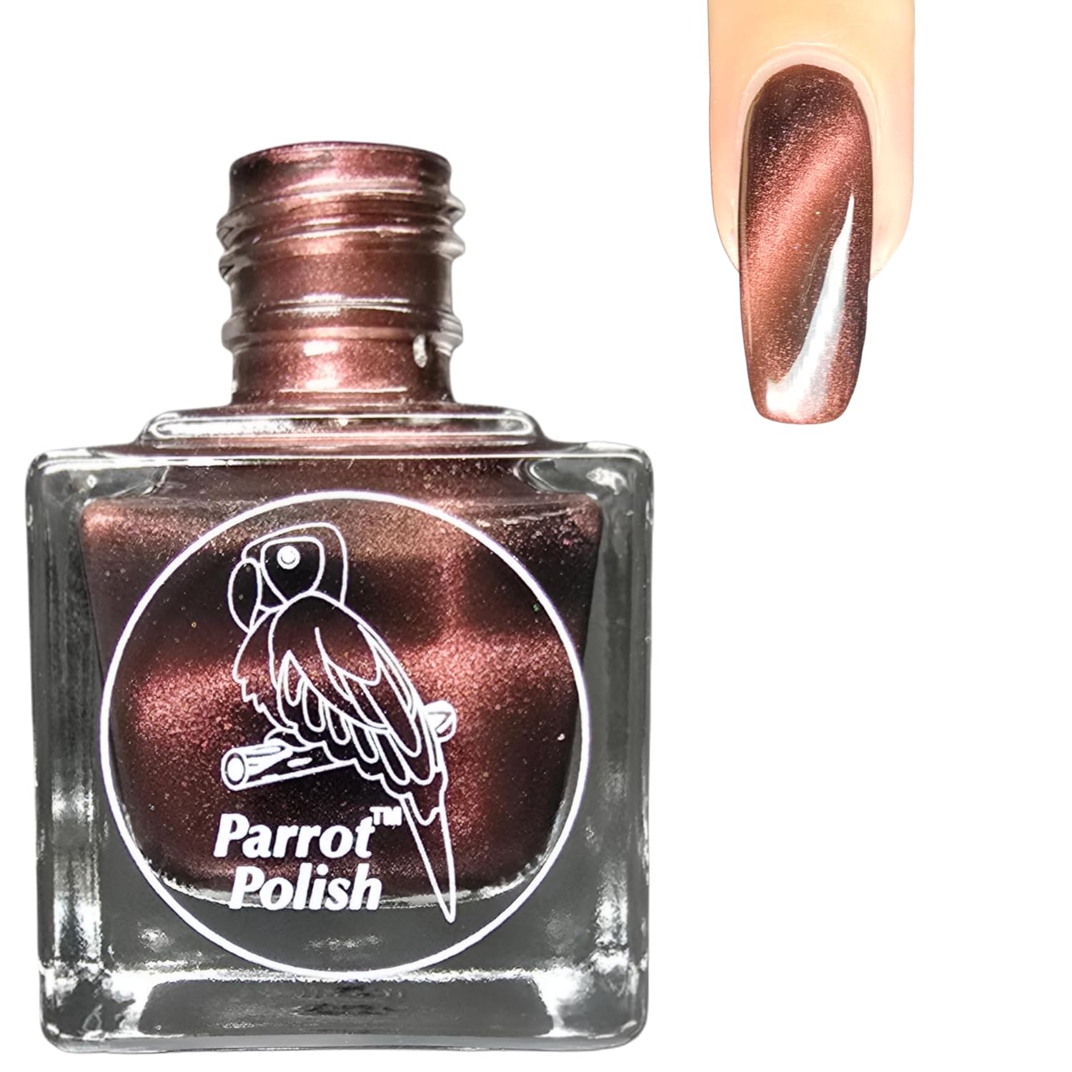 Amazon.com : Parrot Polish Magnetic Cat Eye Nail Polish, Quick Dry ...