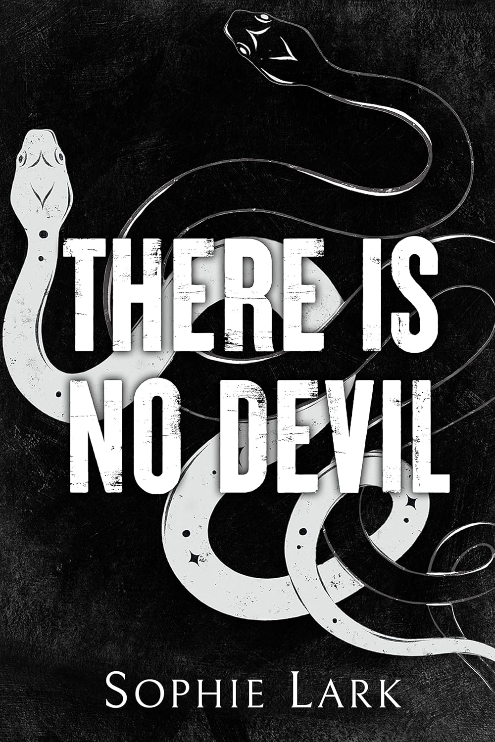 There Is No Devil (Sinners Duet Book 2) - Kindle edition by Lark ...