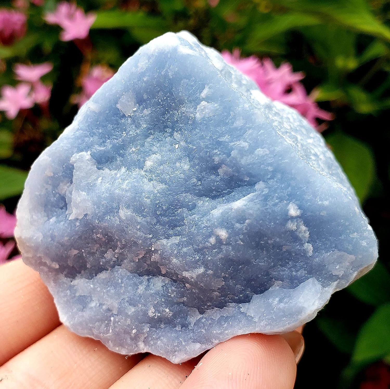 Amazon.com: Angelite Natural Crystal Healing Gemstone Rough Mineral ...