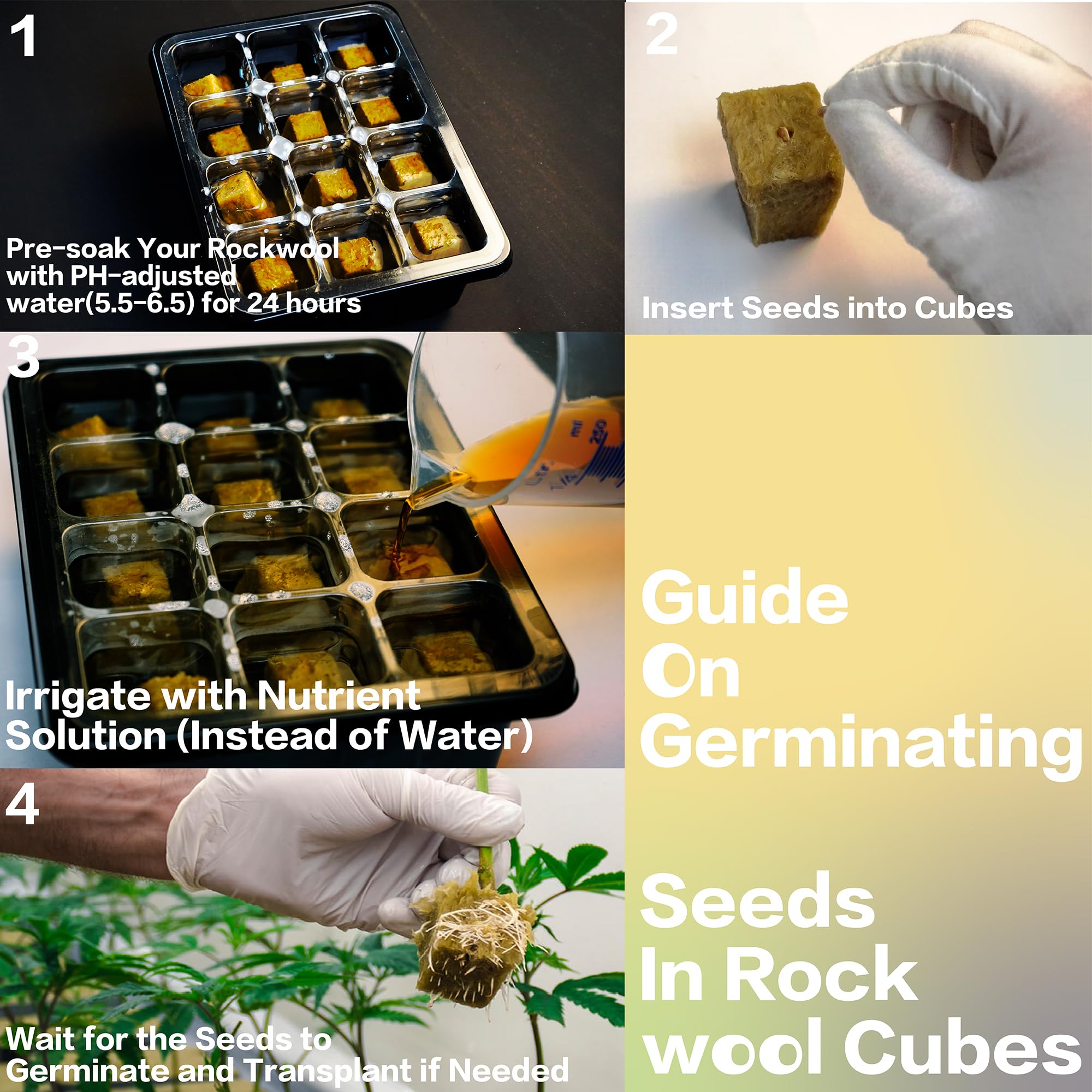 Snapklik.com : CastleGreens Rock Wool Planting Cubes, Rockwool Cubes 1 ...