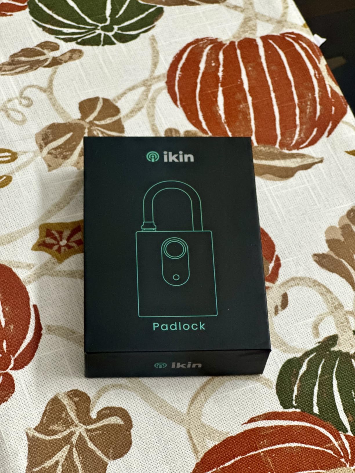 IKIN Smart Padlock, Fingerprint Door Lock, Waterproof Lock for gate ...