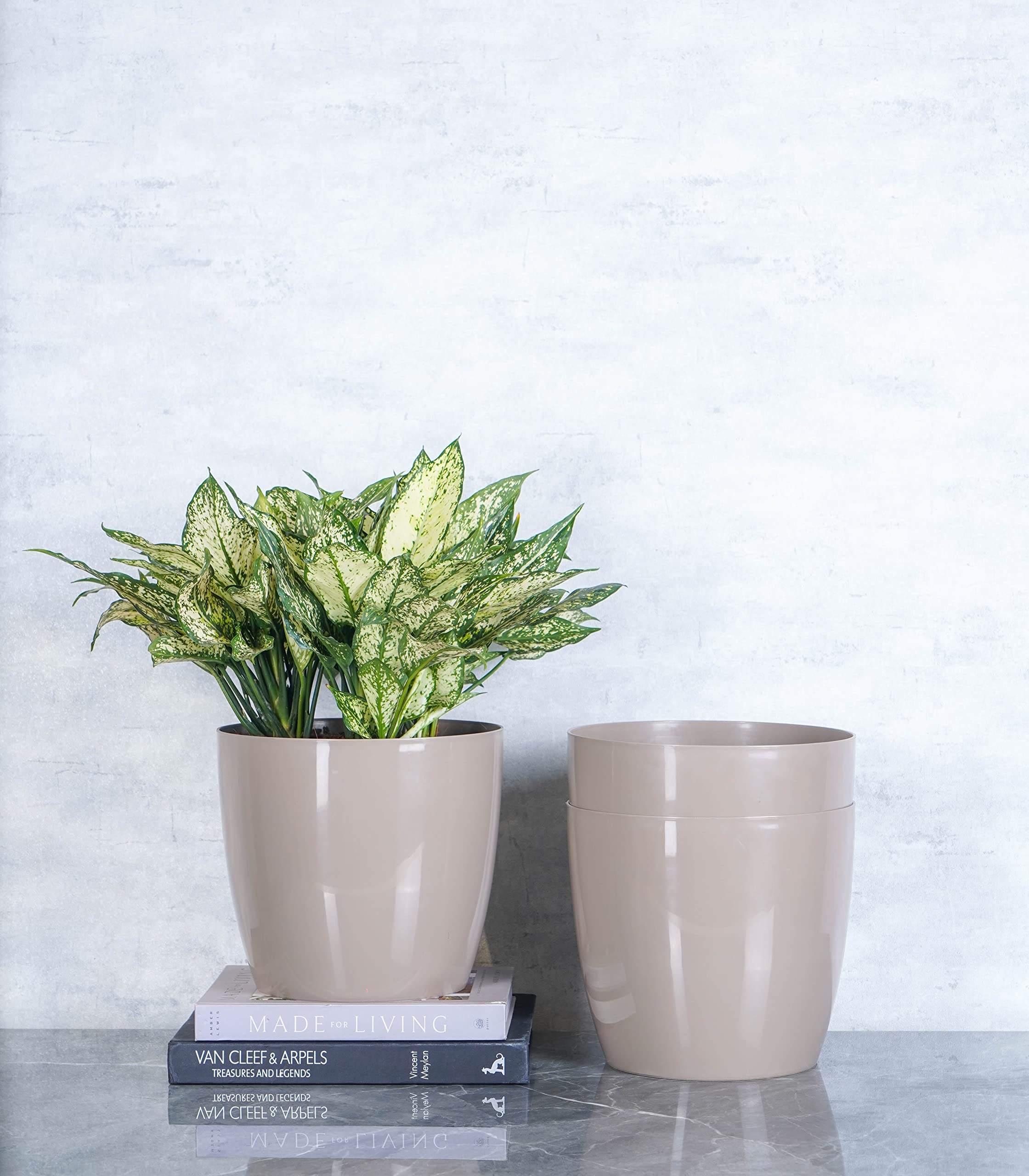 Nurturing Green® Combo of 3 Mocha Glossy 'Bare' Plastic Pots for Indoor ...