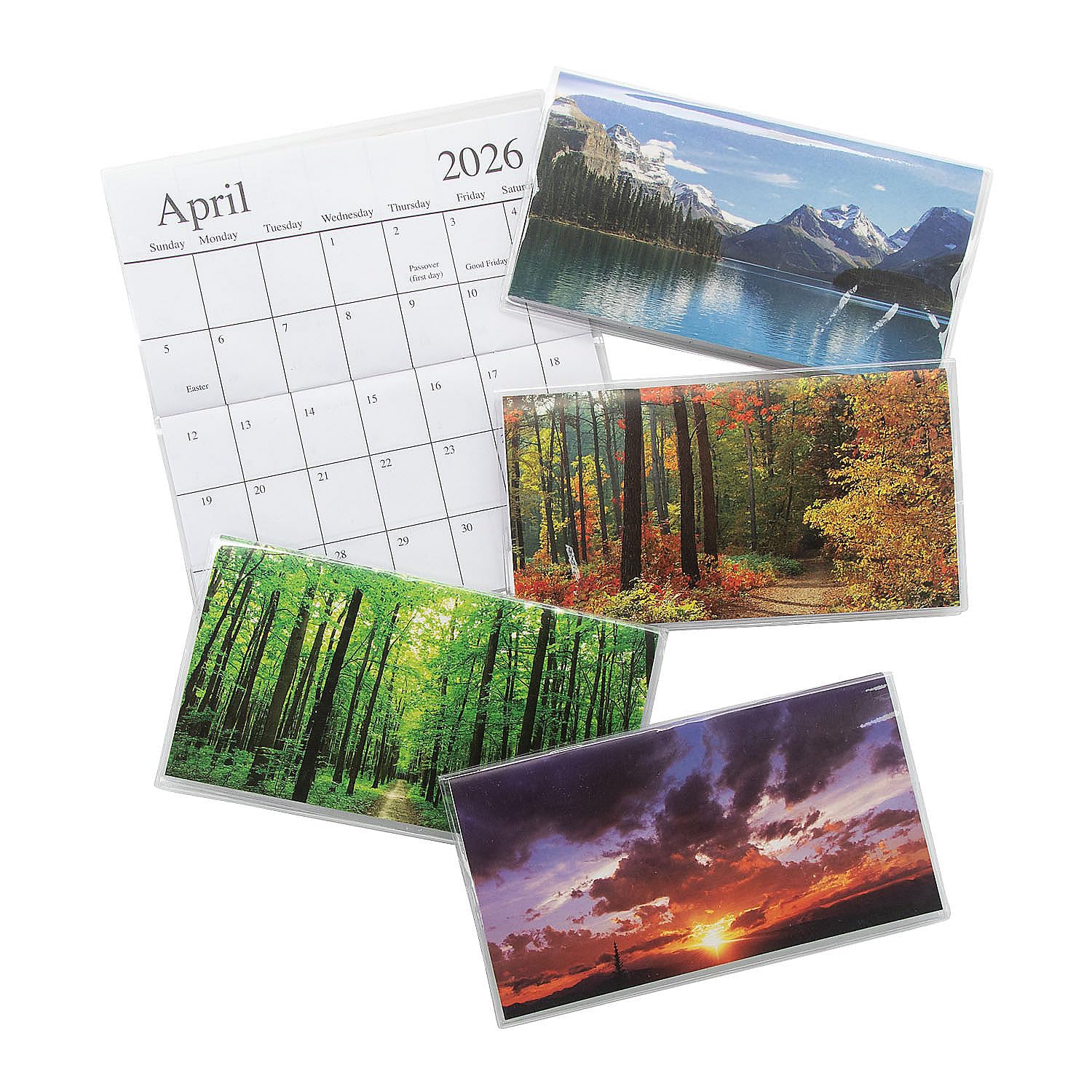 Amazon.com : Fun Express 6 1/2" x 3 1/2" 2025-2026 Nature Paper Pocket ...
