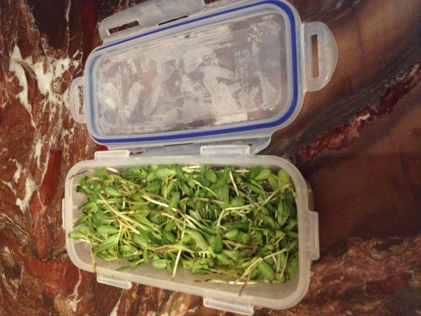 Buy Lock&Lock Classics Slender Container, 620ml Online at Low Prices in ...