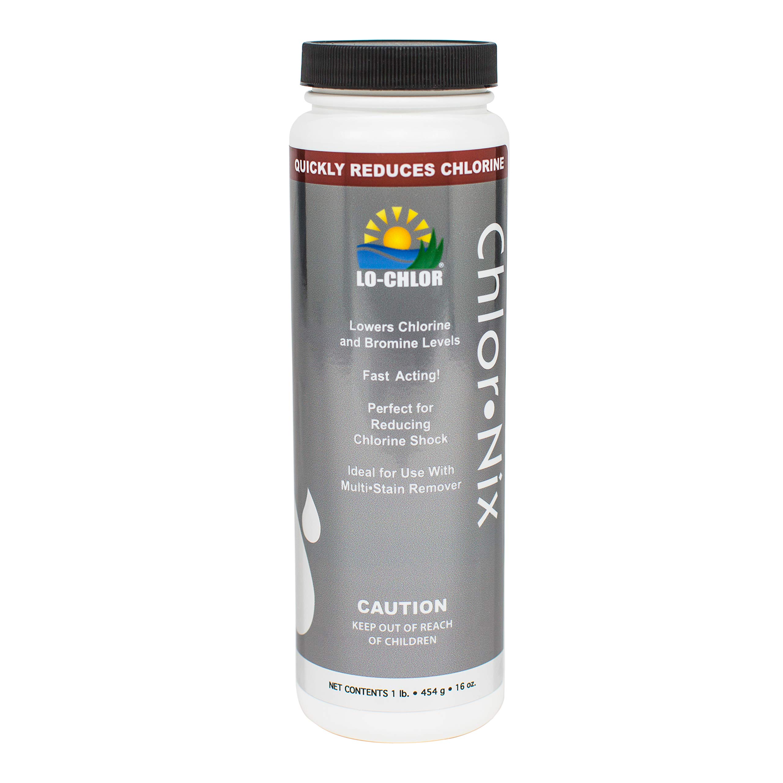 Amazon.com : Lo-Chlor Chlor-Nix Chlorine Neutrilzer for Pool - Fast ...