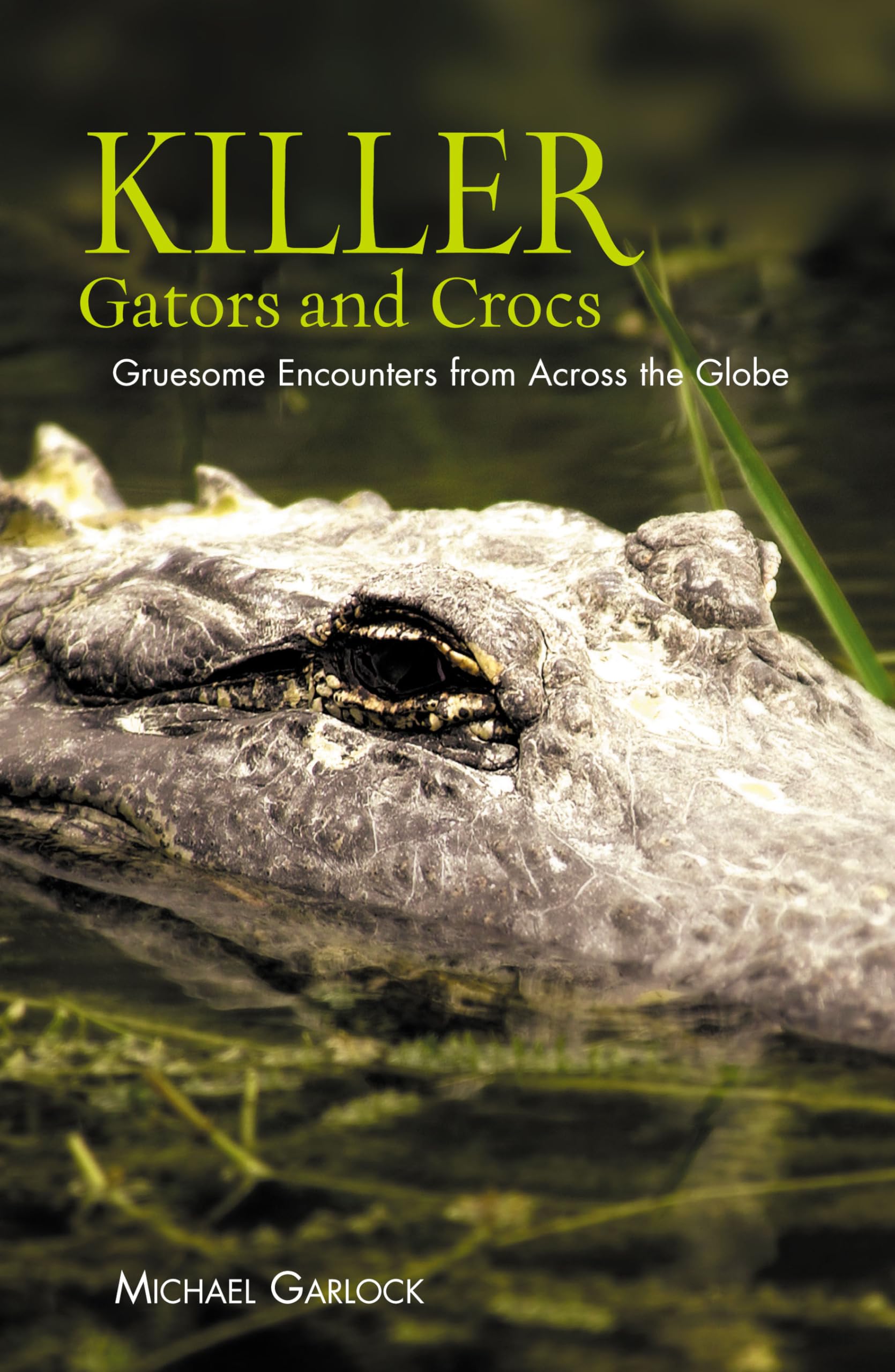 Killer Gators and Crocs: Gruesome Encounters From Across The Globe ...