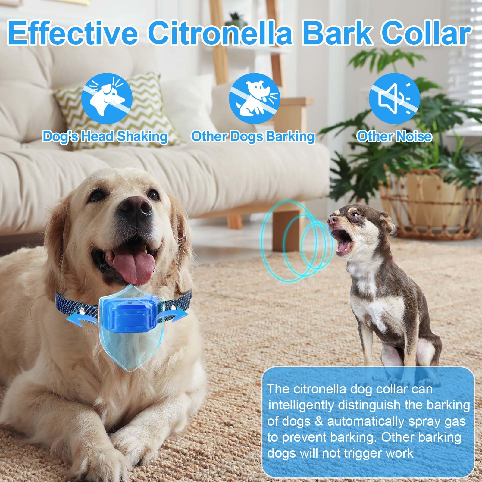 Dog Training Collar Rechargeable Bark Collar Citronella Bark Collar For ...