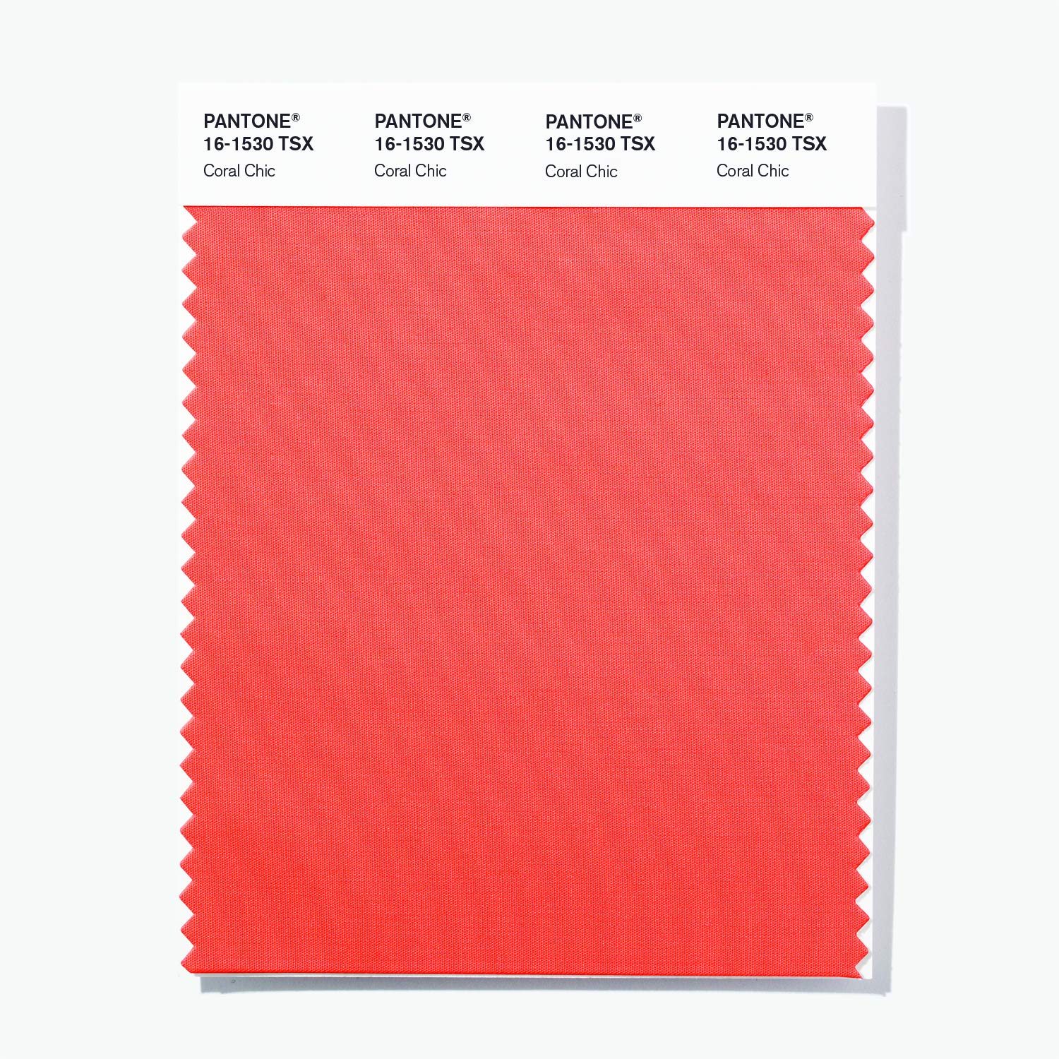 Coral Color Swatch Pantone
