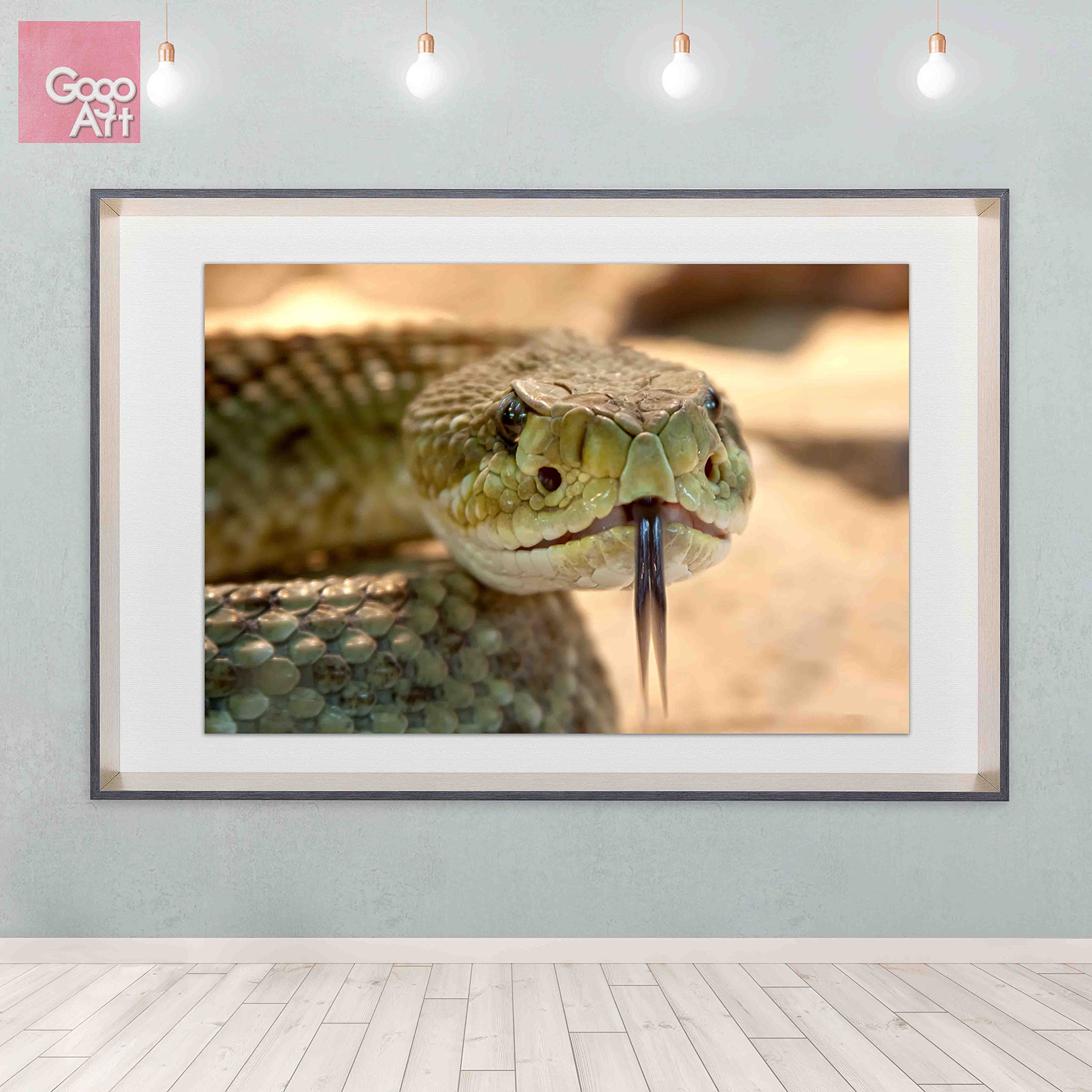 Snake With No Scales