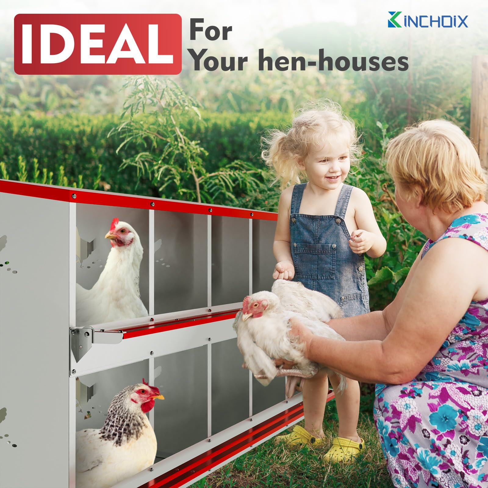 Snapklik.com : Chicken Nesting Boxes - 10 Compartment Metal Poultry ...