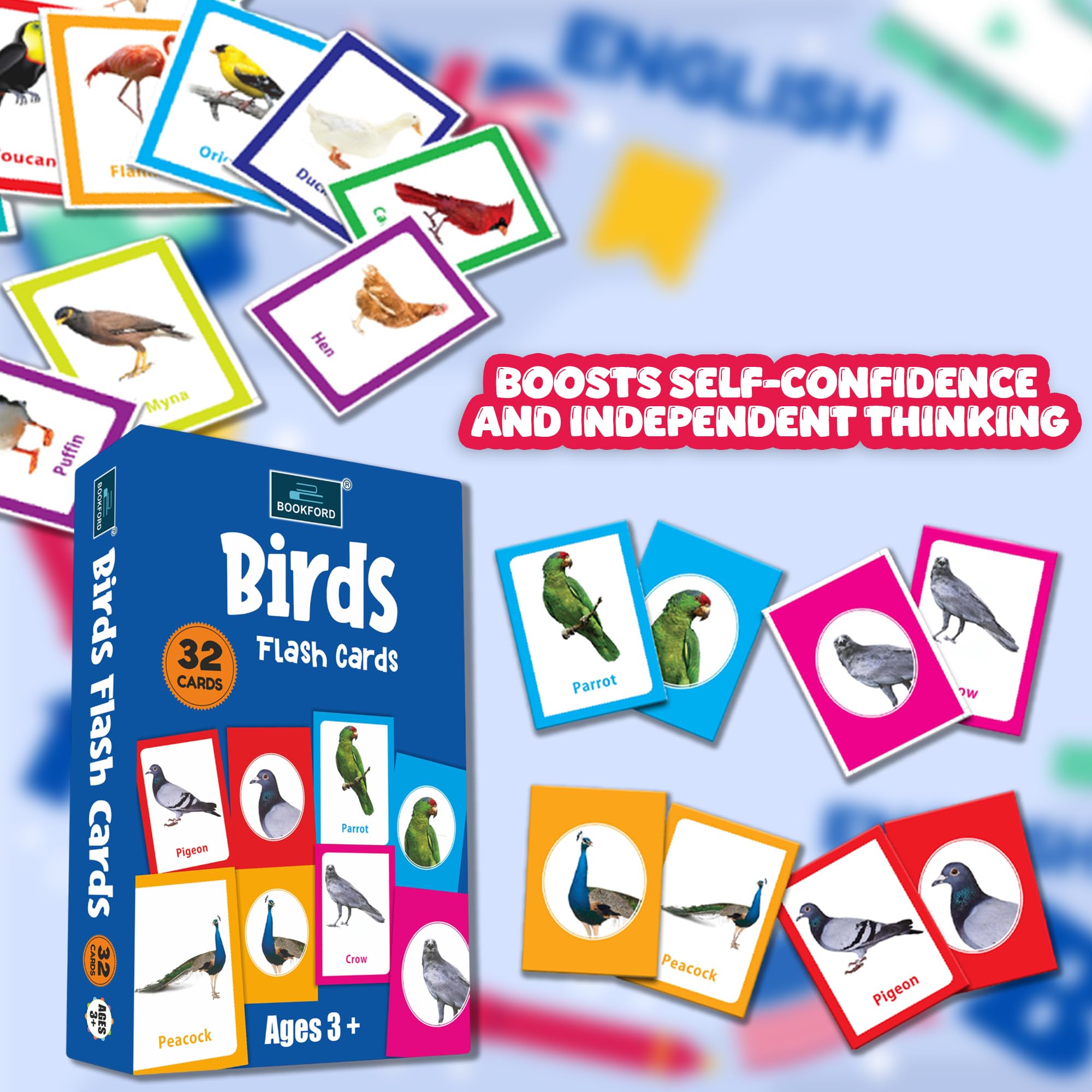 Birds Flashcard Flashcards Flashcards For Kids Learning English For