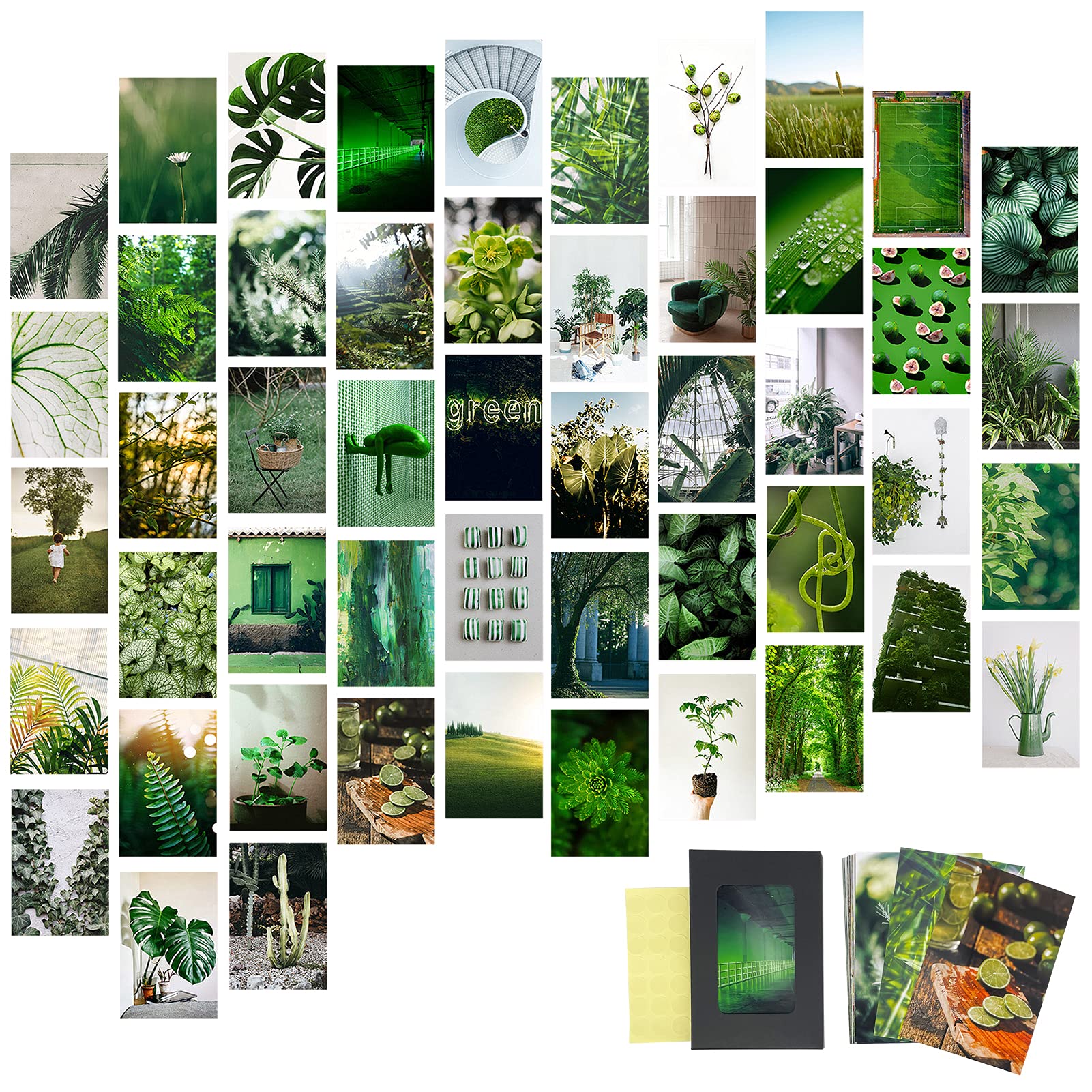 Buy Choumia Green Picture Collage Kit for Wall Aesthetic,Set of 50 ...