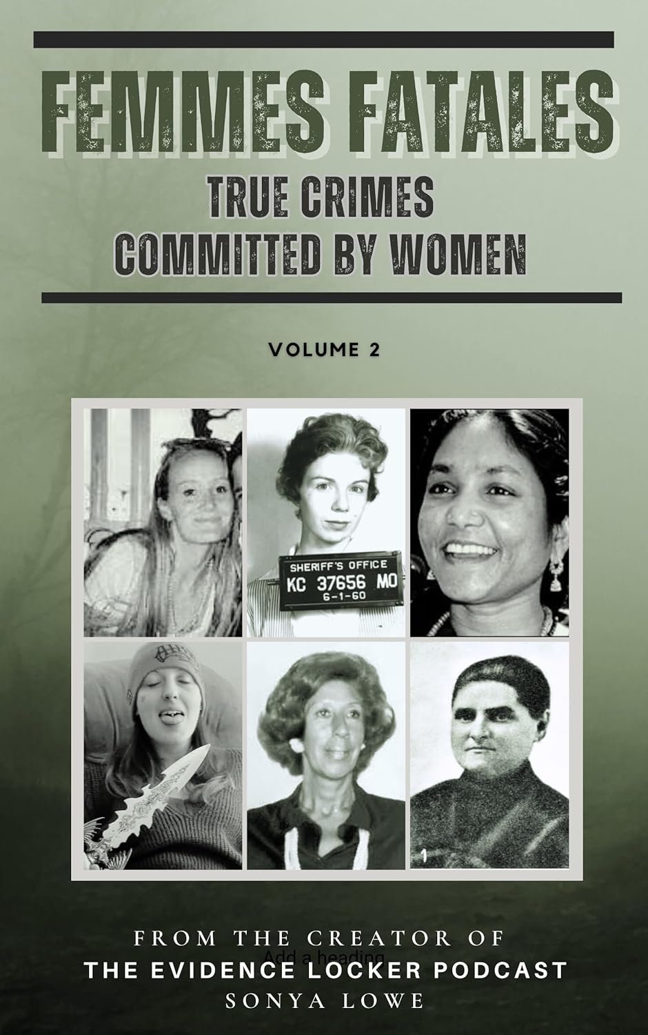 Femmes Fatales: True Crimes Committed by Women - Volume 2 (Evidence ...