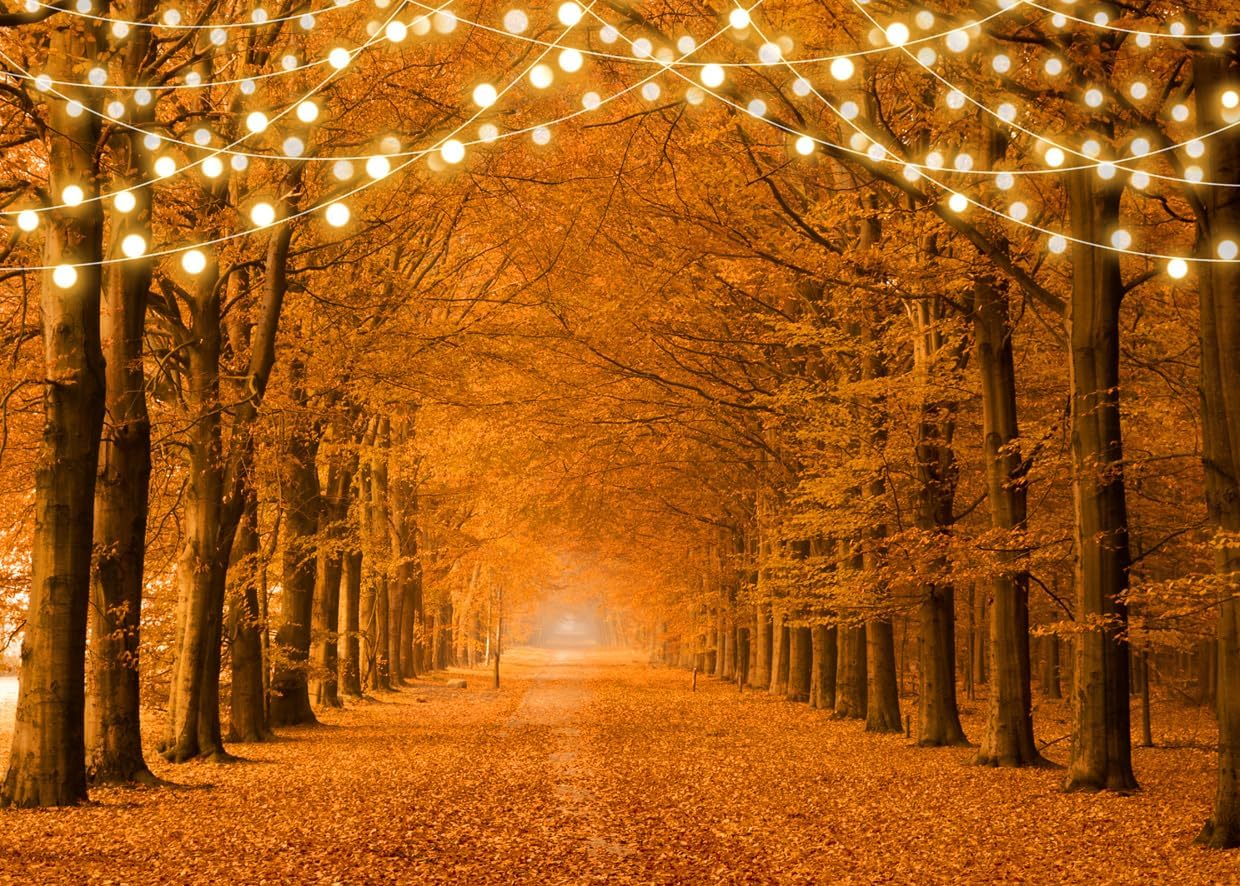 Amazon.com : SJOLOON Fall Backdrop Fallen Leaves Background Forest ...